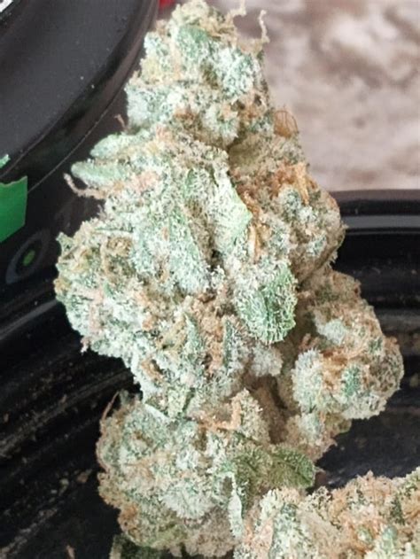 green dot labs rapture and crystal leaves mint smash r coents