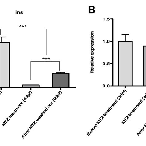 Confirmation Of Beta Cell Depletion And Regeneration With Quantitative