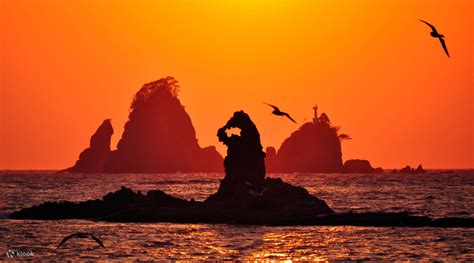 Tokai Bus Ticket Klook Philippines