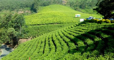 Devikulam Munnar Timings History Entry Fee Images And Information