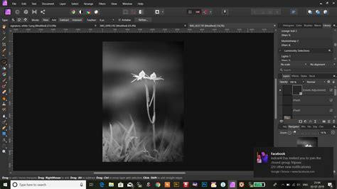 Histogram And Layer Thumbnails V Bugs Found On Windows Affinity Forum