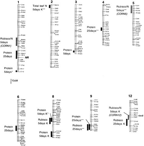 Linkage Map Of Bils Showing The Putative Location Of Qtls Associated