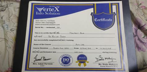 Manpreet Kaur On Linkedin Certificated By Vertex Info Solution