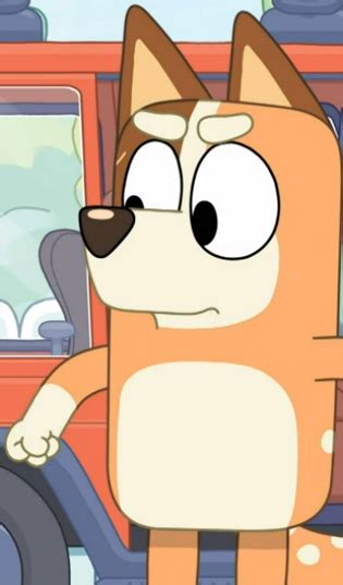 Screenshot Chilli Heeler Being Annoyed V5 By Shiyamasaleem On Deviantart