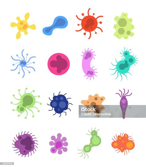 세균 세트 독감 바이러스 독소 세포 미생물 아메바 역학 박테리아 질환 세균 독감 세포 미생물학 고립 벡터 세트 0명에 대한 스톡 벡터 아트 및 기타 이미지 Istock