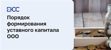 Что такое Уставной капитал ООО Минимальный размер уставного капитала