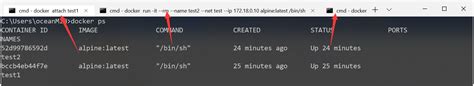Actually There Are Tabs But Only Tabs Are Displayed In The Title Bar Issue