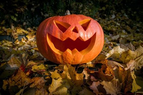 무료 이미지 밤 가을 유령 같은 주황색 호박 할로윈 어둠 원 잭 오 랜턴 무서운 휴가 제철의 제등 조각 또는 장식물 전통적인 장난 턱