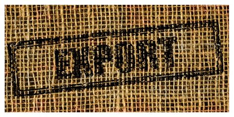 Export Orders In Conditional Checkout Fields For Woocommerce