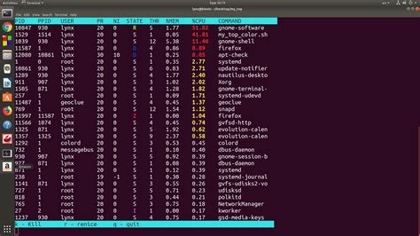 Linux How Do I Get The Total CPU Usage Of An Application From Proc Pid Stat Stack Overflow