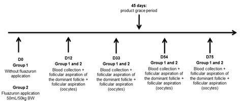 Experimental Protocol Download Scientific Diagram