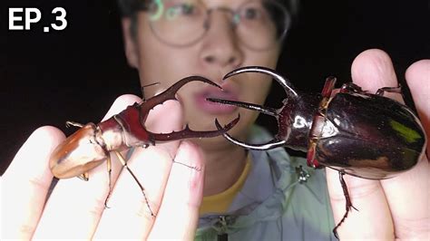 손이 찢어질것 같아 거대곤충들 보고 감동했네요 ㅠㅠ Youtube