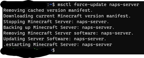 Weird Strings When Running Force Update Issue 321 MinecraftServerControl Mscs GitHub