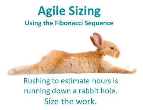 Fibonacci Estimating — Ispi