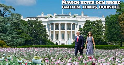 Melanias Rosium Garden Imgur