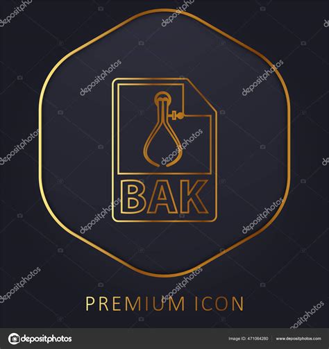 Bak File Format Symbol Golden Line Premium Logo Icon Stock Vector By