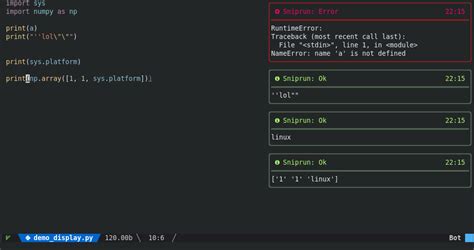 Introduction — Welcome To Sniprun Documentation