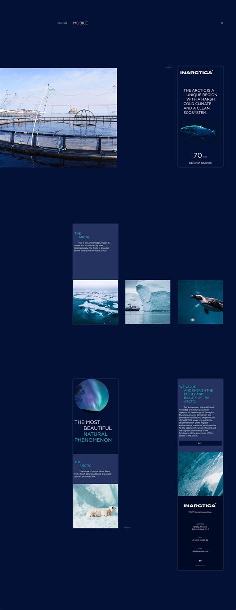INARCTICA on Behance