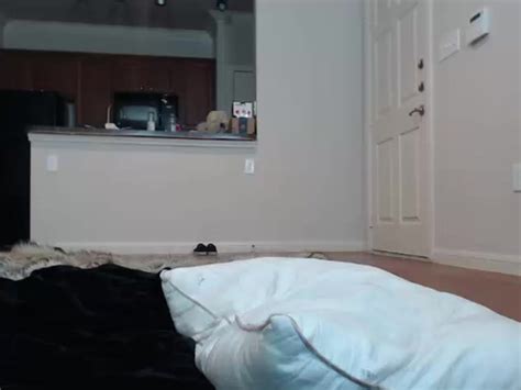 Bonniebruise Cam Recording January Bonniebruise Cam Recording January