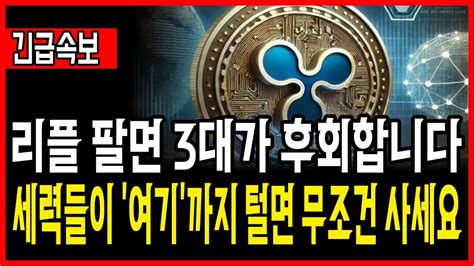 리플전망 리플 사상 최대 거래량 지금이 매수 타이밍 Youtube