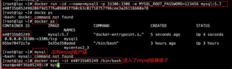 Docker部署mysql、redis、nginx、python，docker的迁移与备份 薛定谔的猫66 博客园