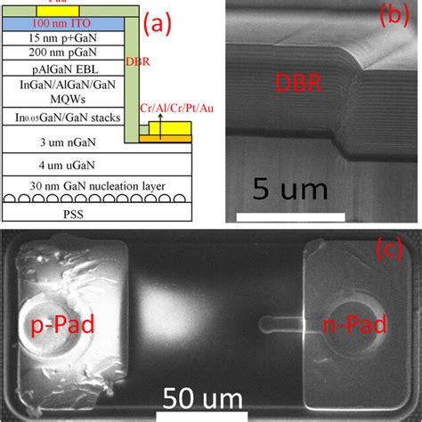 A Schematic Structure Of The Ingan Green Leds B Cross Section Of