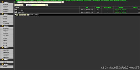 php大马的使用 csdn博客