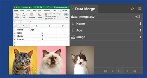 How To Use Indesign Data Merge For Text And Image Automation Be The Bean