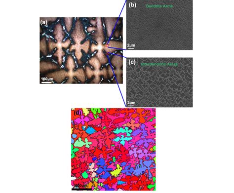 A Optical As Cast Dendritic Microstructures B Sem Showing Finer C Download Scientific