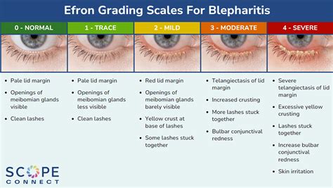 Blepharitis Scope Connect