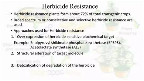 Applications Of Genetic Engineering In Crop Improvement Pptx