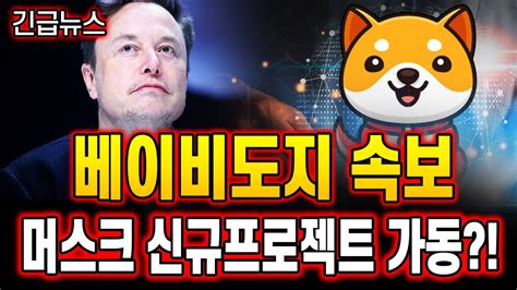 코인추천 베이비도지 긴급속보 일론머스크 신규 프로젝트 가동 베이비도지 베이비도지코인 베이비도지전망 베이비