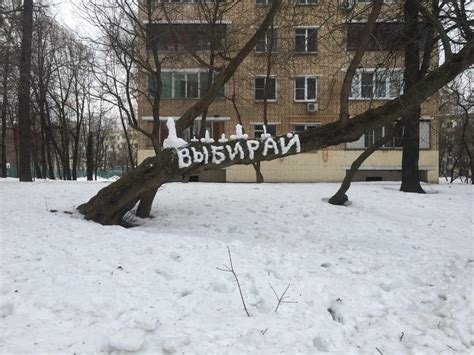 выбирай :: дерево :: снег :: Член / смешные картинки и другие приколы ...