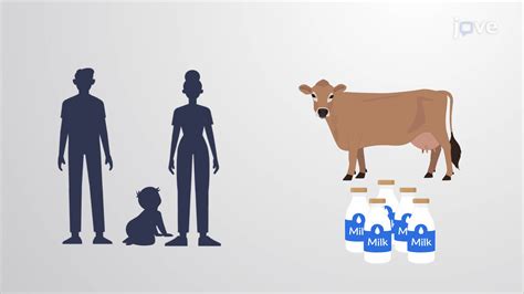 Video How Data Are Classified Numerical Data