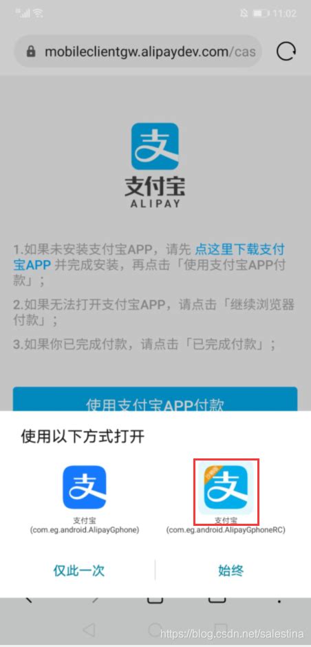 支付宝手机网站h5支付 支付宝h5支付 csdn博客