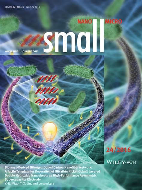 Biomass‐derived Nitrogen‐doped Carbon Nanofiber Network A Facile Template For Decoration Of