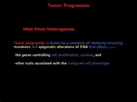 Tumor Progression Md Abdur Rakib Ph D Associate