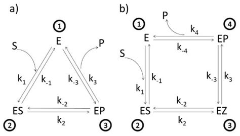 Maximum Entropy Production Theorem For Transitions Between Enzyme Functional States And Its