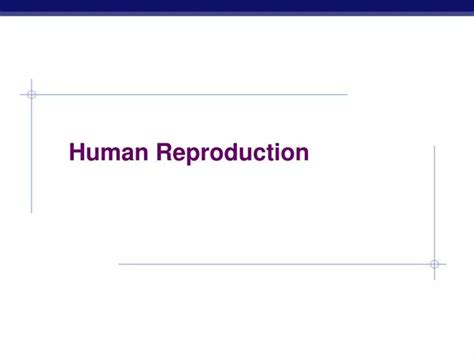 Ppt Human Reproduction Powerpoint Presentation Free Download Id