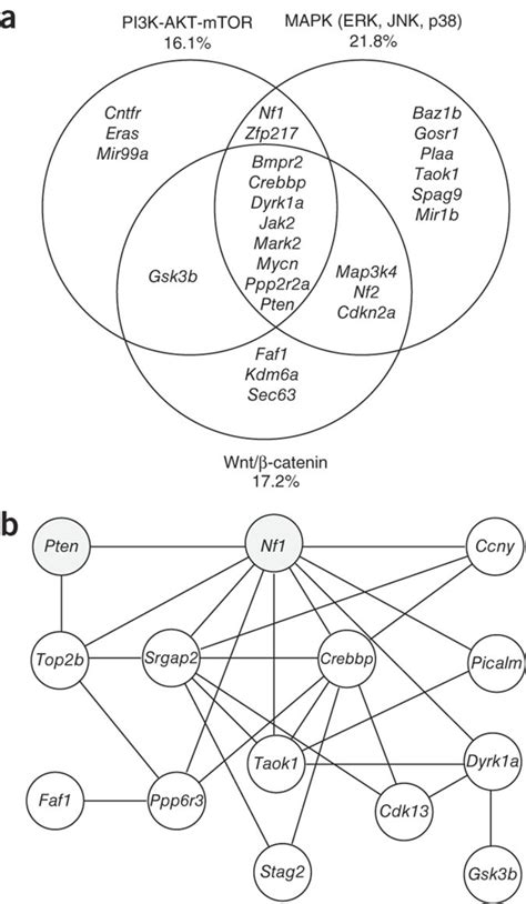 CIS Analysis For Cooperating Genes And Pathways In Grade PNST Download Scientific Diagram