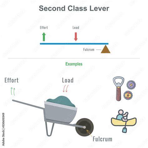 Second Class Lever With Example Vector Illustration Stock Vector Adobe Stock
