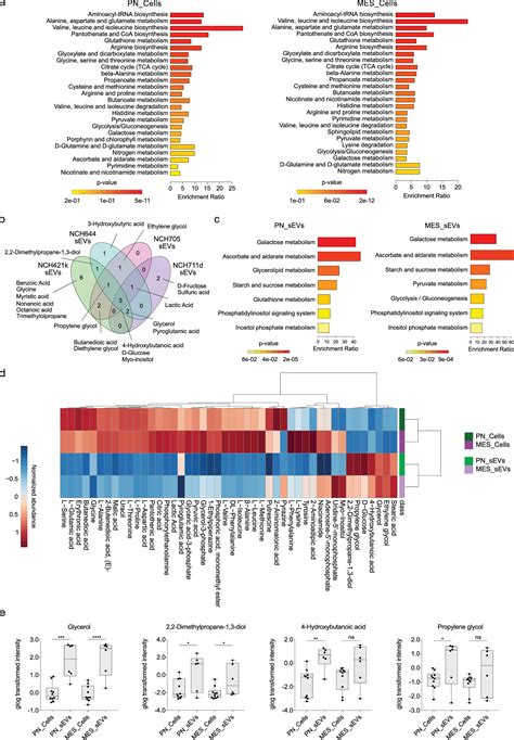 Proteomic Metabolomic And Fatty Acid Profiling Of Small Extracellular Vesicles From