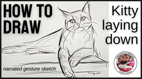 How To Draw Cat Laying Down Facing Forward Partial Side View Lying Simple Beginner Sketch