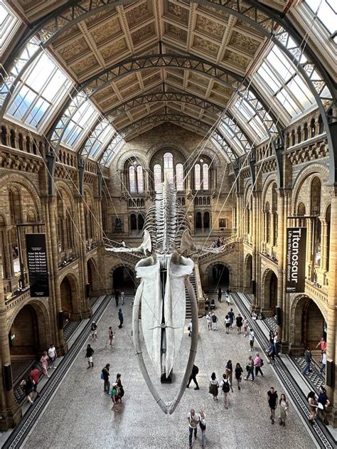 🇬🇧 런던 자연사 박물관 규모에 압도되다😳