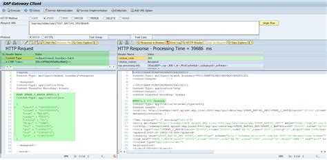Sap Abap Central Batch Call Processing In Sap Netweaver Gateway
