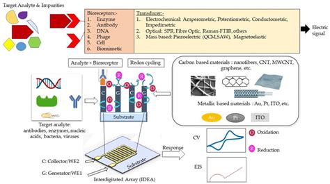 Figure 1 From Micro And Nano Interdigitated Electrode Array Idea
