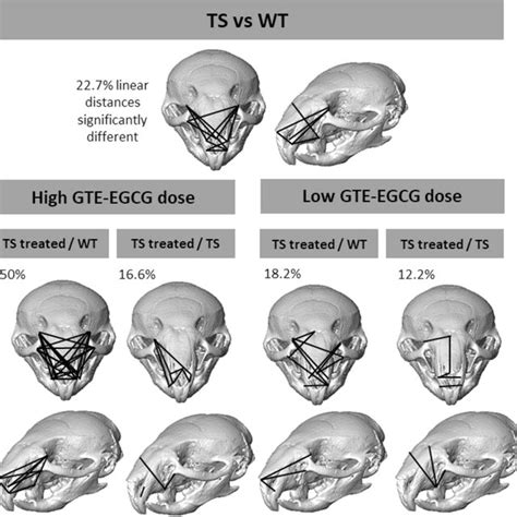 Localized Euclidean Distance Matrix Analysis Facial Shape Pairwise Download Scientific Diagram