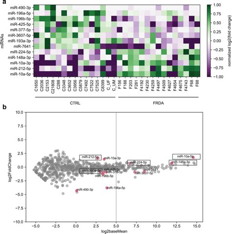 Quantitative Mirna Profiling A A Heatmap Was Generated Based On The Download Scientific