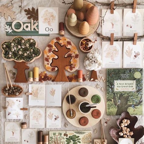 Tree Unit Study Bundle Nature Education Printable Tree Leaf Identification Etsy