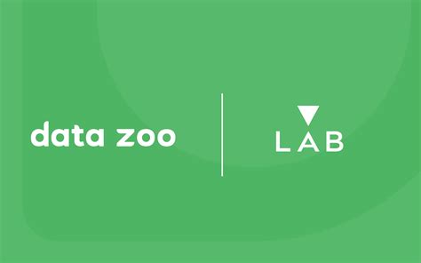 Data Zoo And Lab Group Partner To Enhance Global Identity Verification